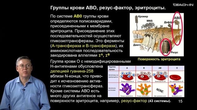 Дубынин В.А. - 100 часов школьной биологии - 2.17. Неполное доминирование. Дигибридное скрещивание