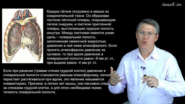 Дубынин В.А. - 100 часов школьной биологии - 1.8 Дыхание