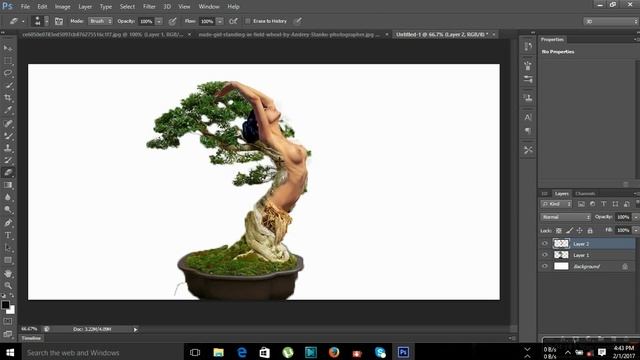 Double Exposure Effect Photoshop Tutorial