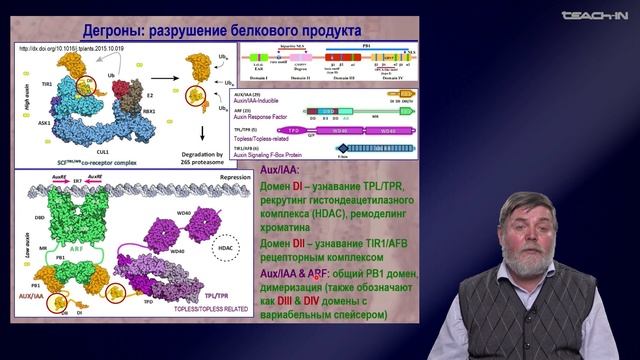 Чуб В.В. - Молекулярная генетика развития растений - 4. Трансгенные растения в исследованиях