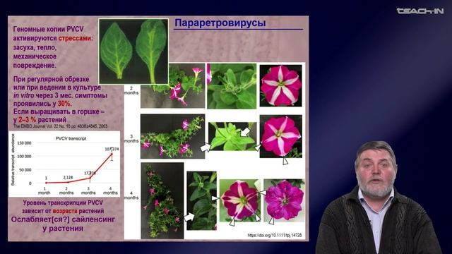 Чуб В.В. - Молекулярная генетика развития растений - 1. Модельные объекты и геномы