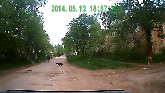 Поездка по Тульской области 12/05/2014. Граница Щекинского и Киреевского района. ещё старые дороги