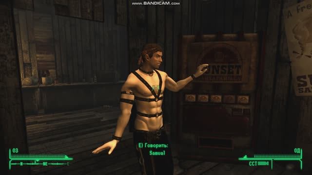 Fallout New Vegas SFW Русская озвучка 2 (4к)