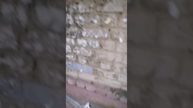 В Саратове пятиэтажка разрушается из-за затопленного подвала