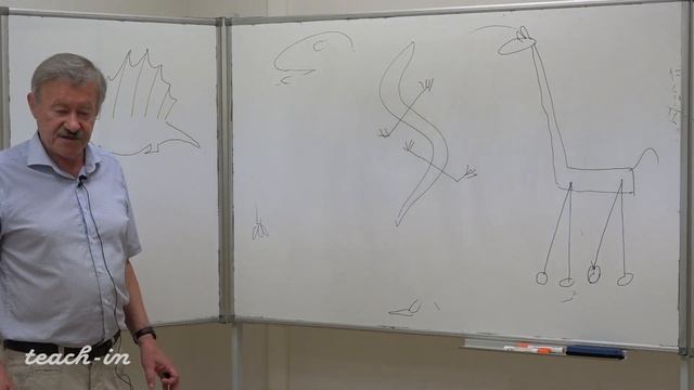 Корзун Л. П. - Зоология позвоночных - 15. Класс Млекопитающие (Mammalia). Часть 2