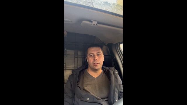 Яндекс дал заработать!