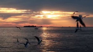 Beauty of the Gulf of Finland in St.Petersburg