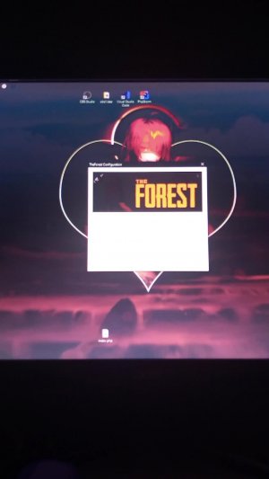 игаем в The Forest