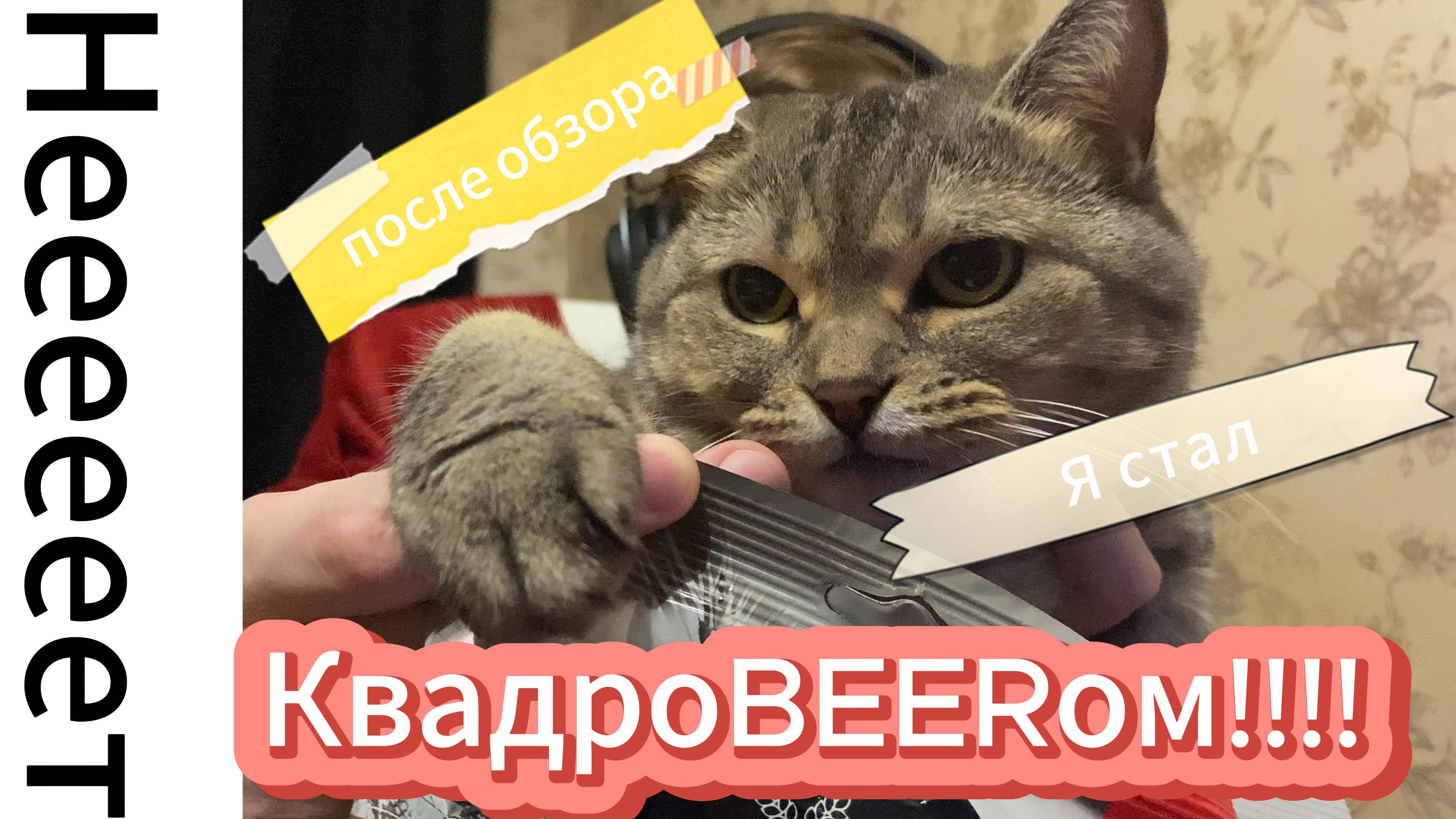 После обзора стал КвадроBEERом (Обзор на сухарики BEERка)