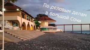 По деловым делам в большой Сочи.