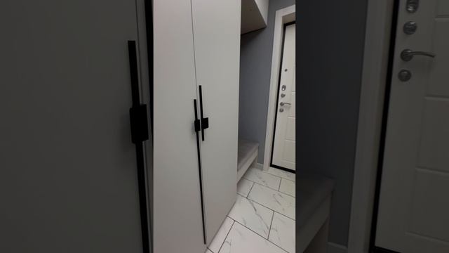 Прихожая ЖК «Академик»