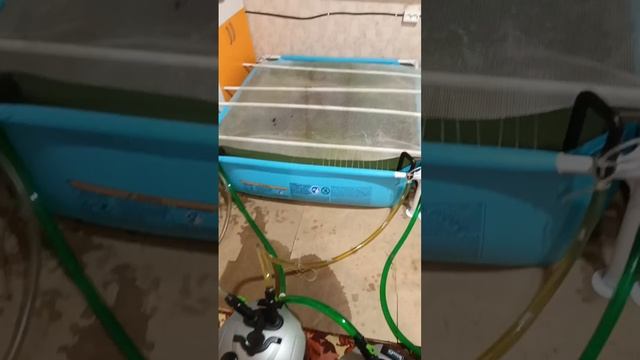 Первый Бассейн с Линём