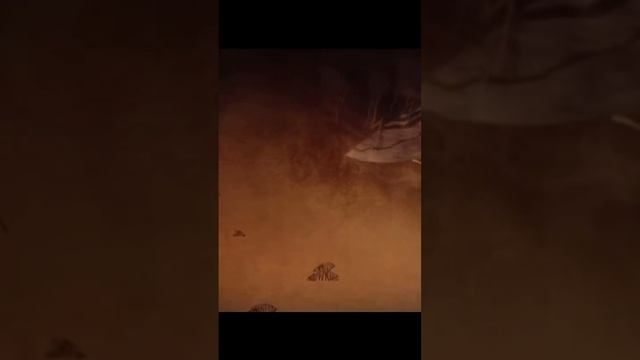 PREY SEQUEL CONFIRMED￼