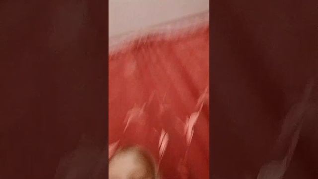 30-10-2024 машина