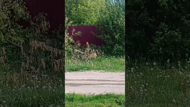 #202 Майк и Рон на встрече (отрывок из Спектрофобия - 3 серия)