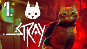 Stray┃Прохождение┃СТРИМ #1┃Котик вернулся !!!