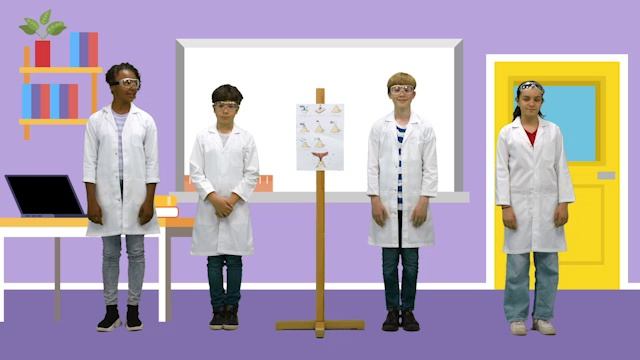 A science experiment presentation_beehive6-project-video-unit-6