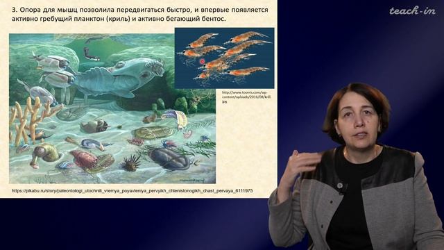 Тесакова Е.М. - Геологическая история Москвы и Подмосковья - 3. Палеозойская эра