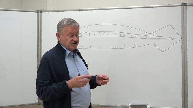 Корзун Л. П. - Зоология позвоночных - 1. Бесчерепные животные