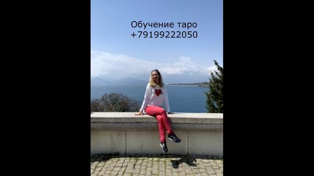 Отзывы