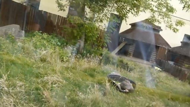 Московский зоопарк. 10/07/2014