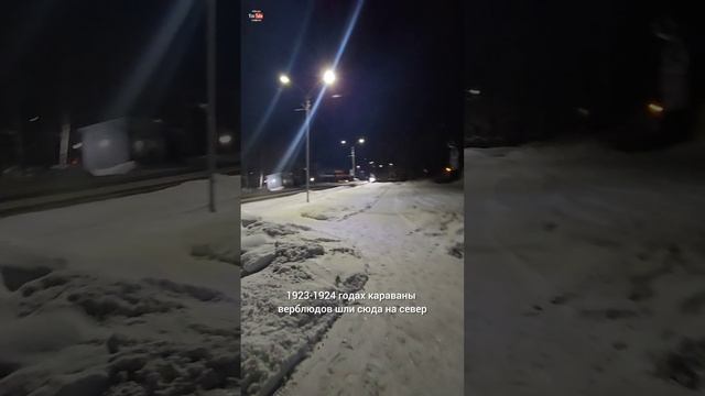 Верблюд в Алдане.  31 октября 2024г Саха Якутия #улицыалдана #саха #якутия #shorts