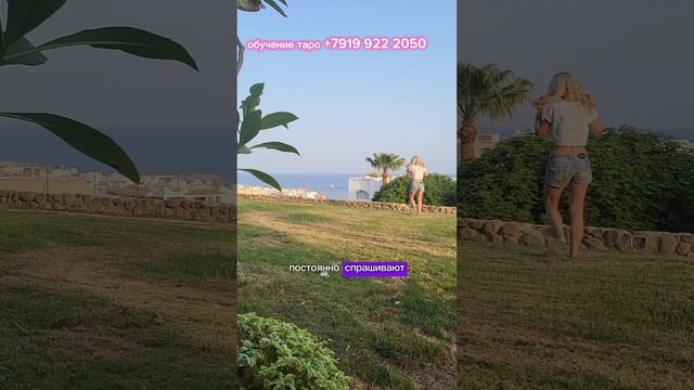 Отзывы таро