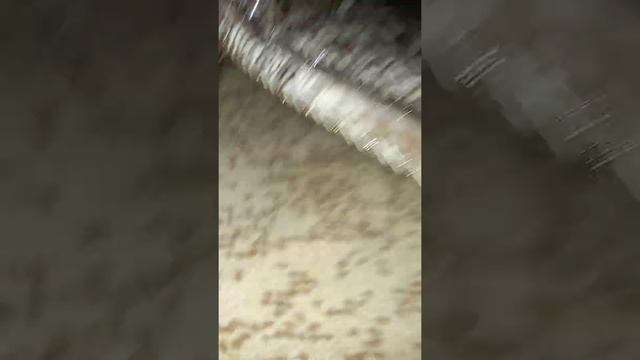 SOS!!!!