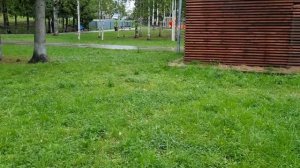 Прогулка со Славой, поход к речке через лес, мы гуляем под дождём, развлекательный детский центр.