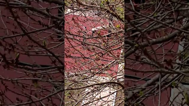 Когда уже Прокуратура обратит внимание!?  19.04.2023 г.