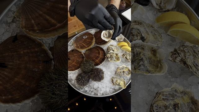 Устрицы в Воронеже - в ресторане МОСКВА