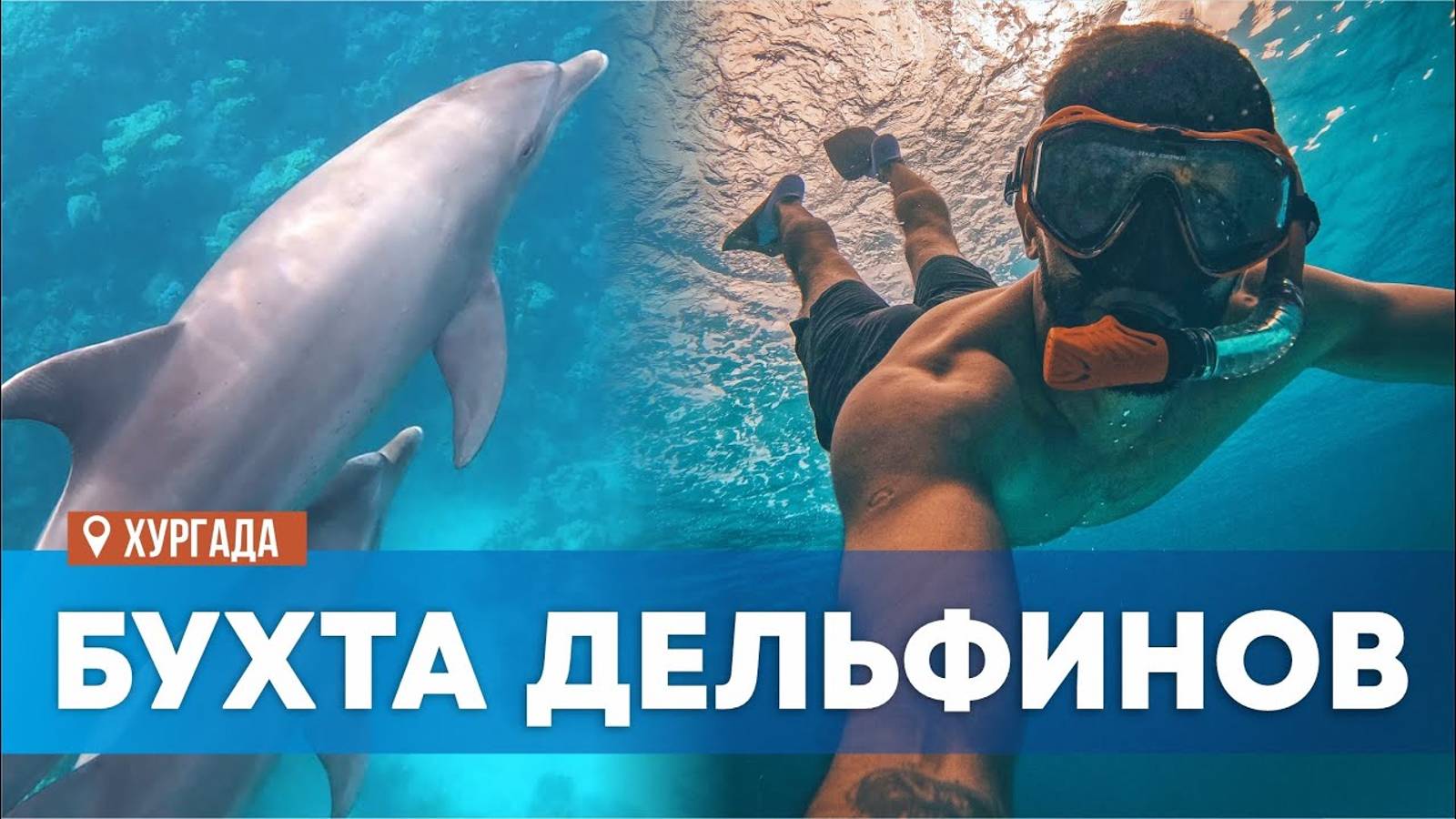 Плавание с дельфинами в открытом море. Хургада, Египет