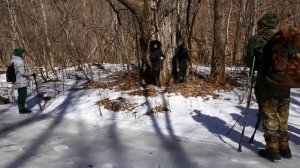 Уссурийская тайга Ледопад Ясный 23 февраля 24 г. Давыдов В.С. Затерянный Рай - Lost Paradise ...