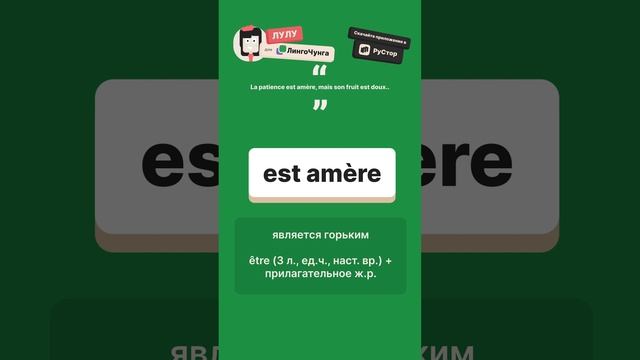 🍯 Почему ТЕРПЕНИЕ ГОРЬКОЕ? 🌱 Мотивирующая цитата с Лулу из ЛингоЧунга 🌟 Учим французский