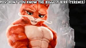 Biggest Bird (Terence) Is NOT A BIRD | Puss In Boots Gigachad MEMES