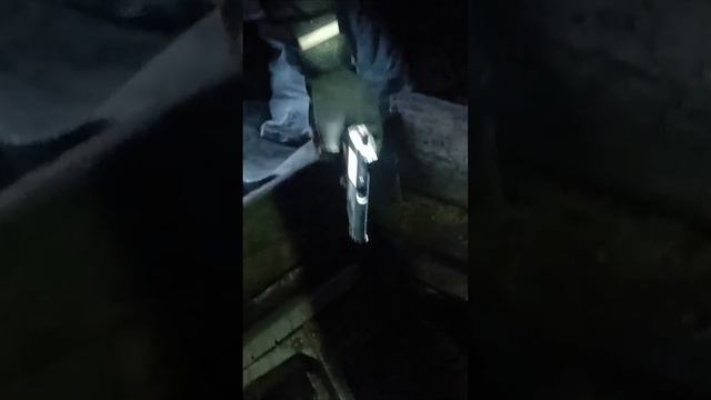 #204 Эндрю в поисках Гуль (отрывок из Спектрофобия - 3 серия)
