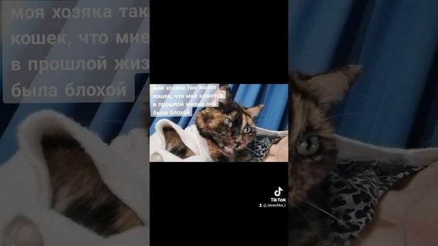 люблю свою Мару)