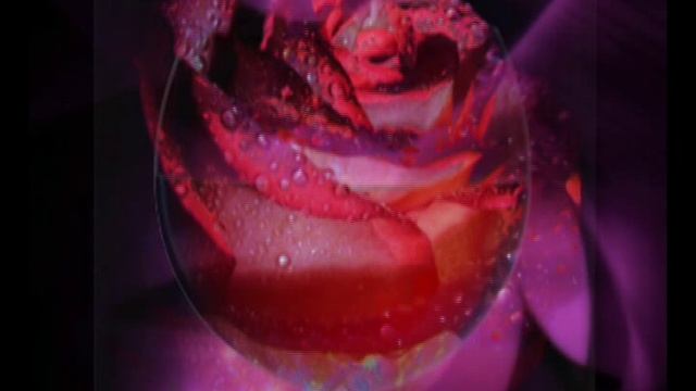 вино Алушты