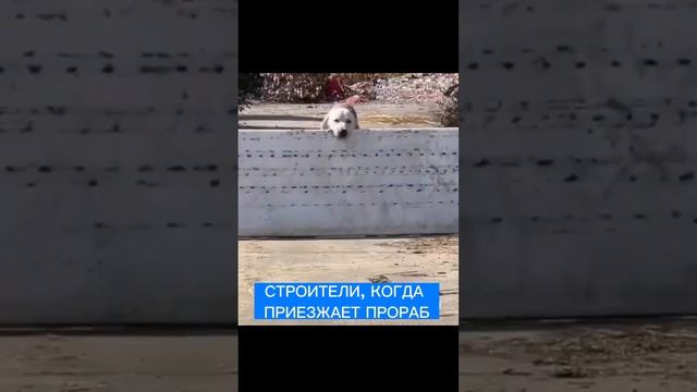 #проектированиедомов #проектыдомов #брикбраер #строительстводома #строительнаякомпания #элитныедома
