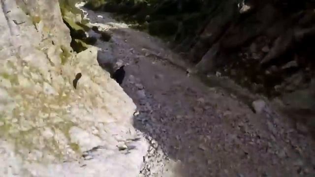 Долгополюк Татьяна Ивановна. Стихотворение "И, если случится так..."