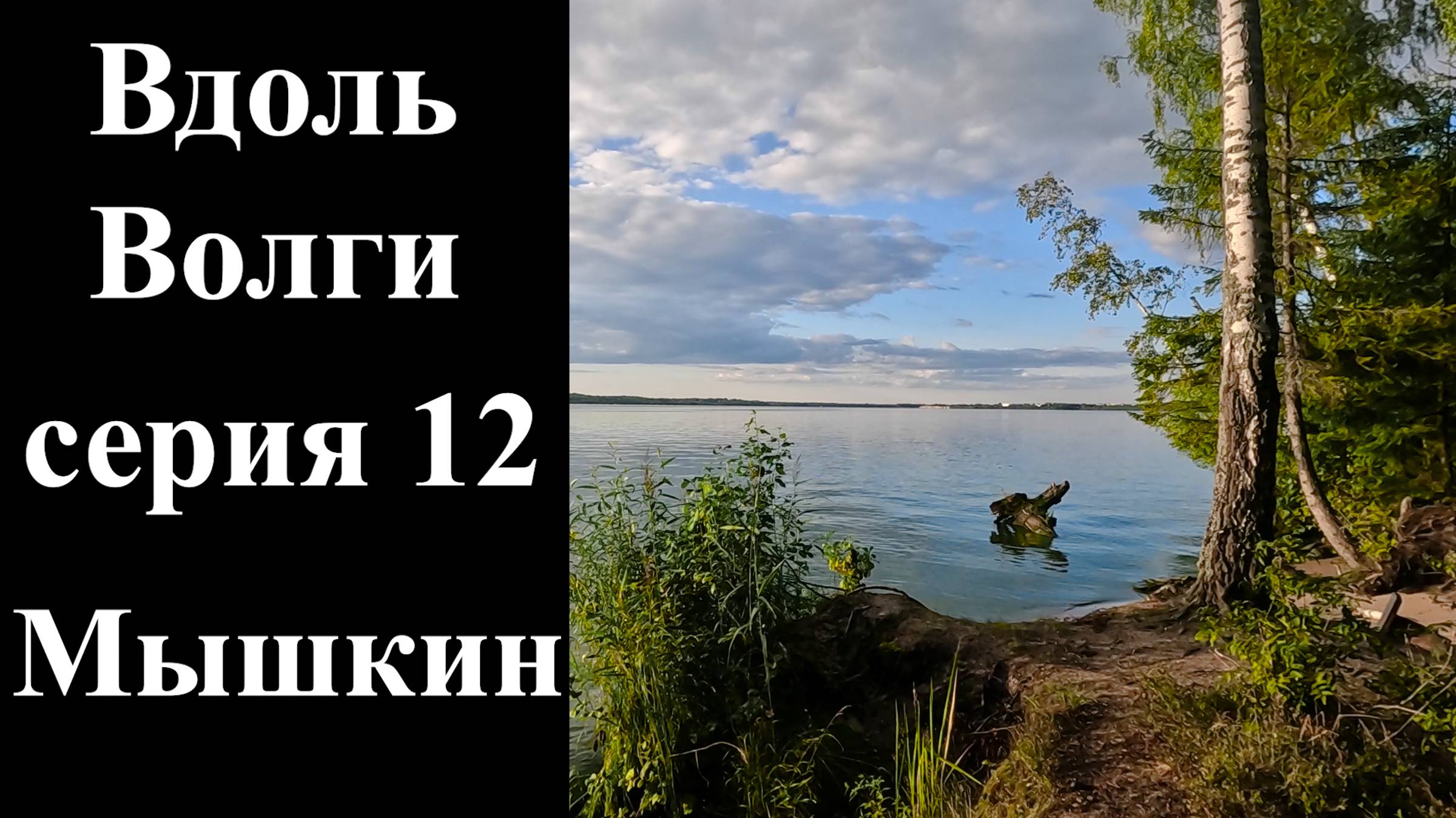12 серия. Мышкин