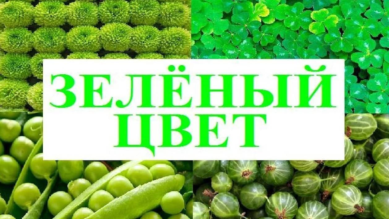 Изучаем цвета _ ЗЕЛЕНЫЙ цвет _ Обучающий и развивающий мультик для детей _ Слушать онлайн