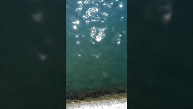 Кабардинка чистейшее море