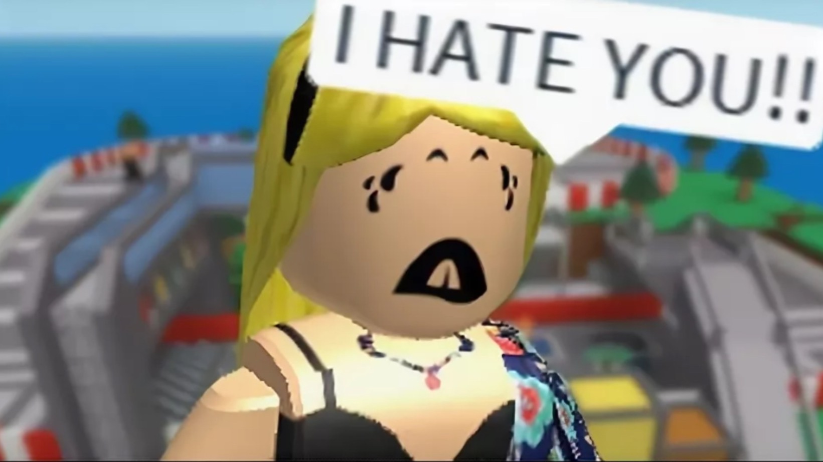 ROBLOX HATES ME