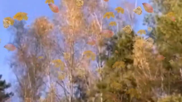Долгополюк Татьяна Ивановна.. Стихотворение "Третий лишний"