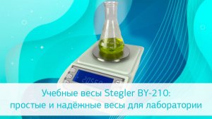 Учебные весы STEGLER BY-210