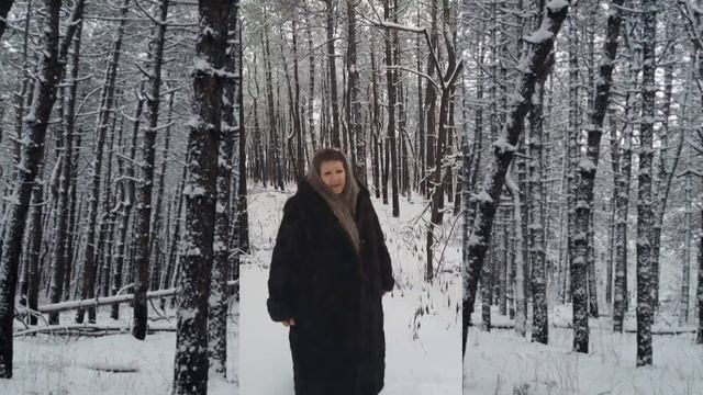 Долгополюк Татьяна Ивановна. Стихотворение в сосновом бору.