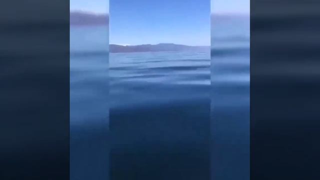 Байкал. Любительское 1