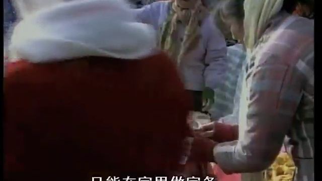 New Practical Chinese Reader 4 Lesson 40