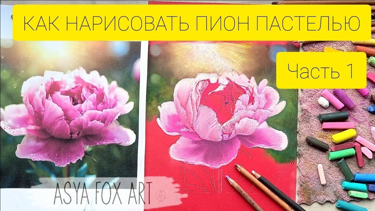 КАК НАРИСОВАТЬ ПИОН СУХОЙ ПАСТЕЛЬЮ / ЧАСТЬ 1/ASYAFOXART